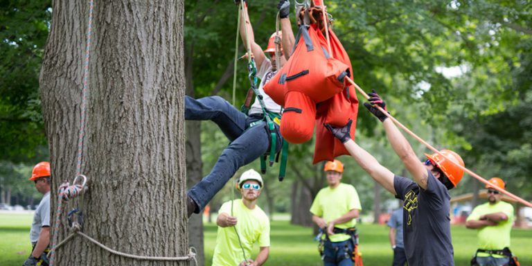 Arborist Training - California Independent Vegetation Management ...