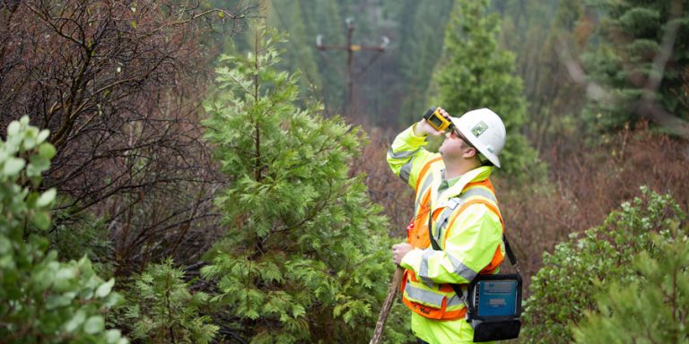 Regulation/Compliance - California Independent Vegetation Management ...