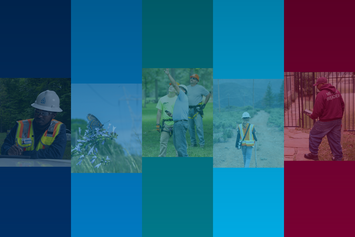 California Independent Vegetation Management Services | ACRT Pacific
