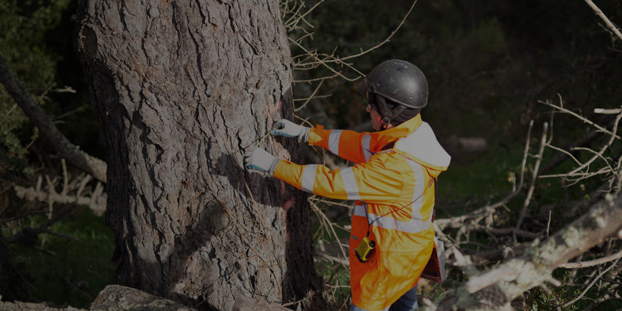 California Independent Vegetation Management Services | ACRT Pacific